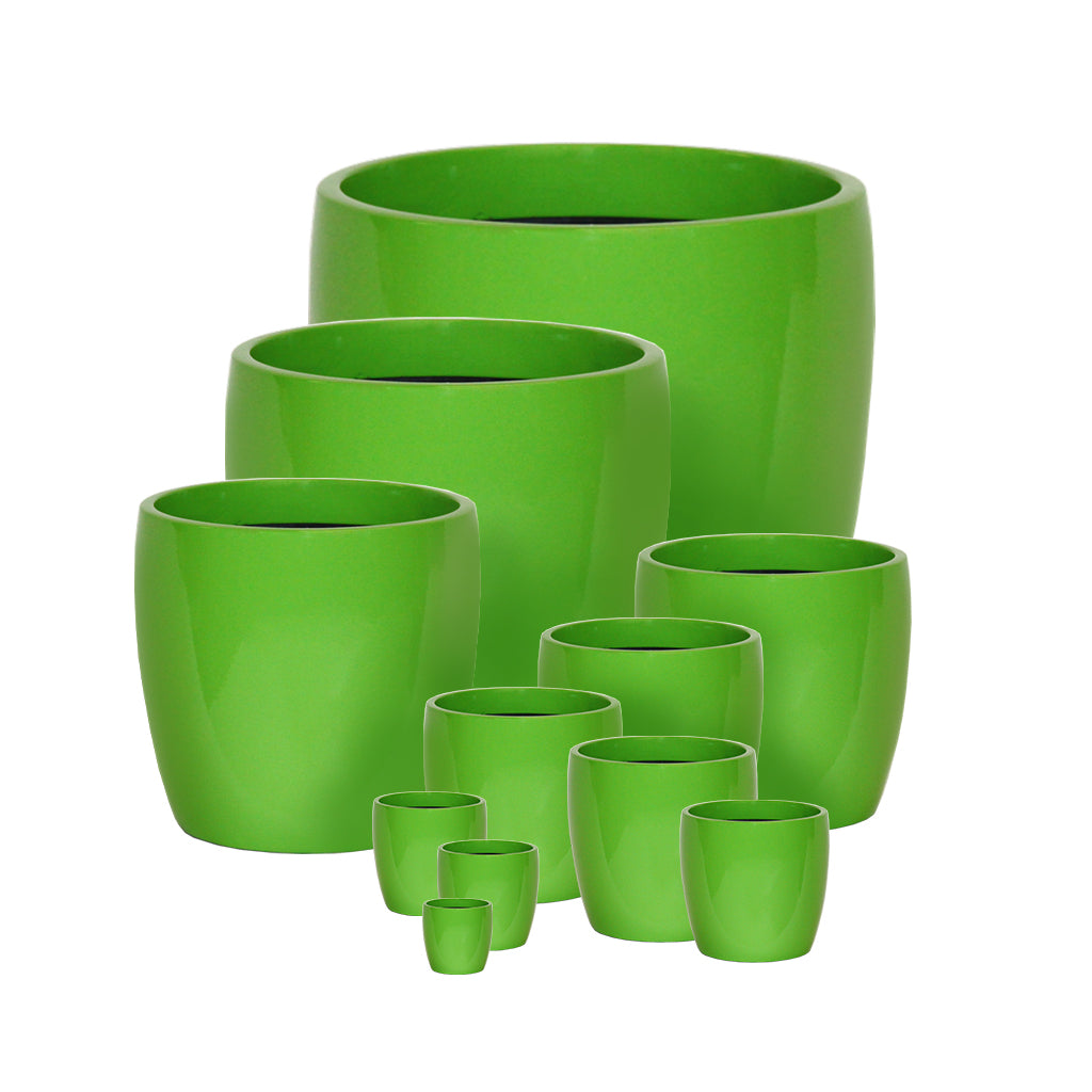 European Planters - Botanicus Green